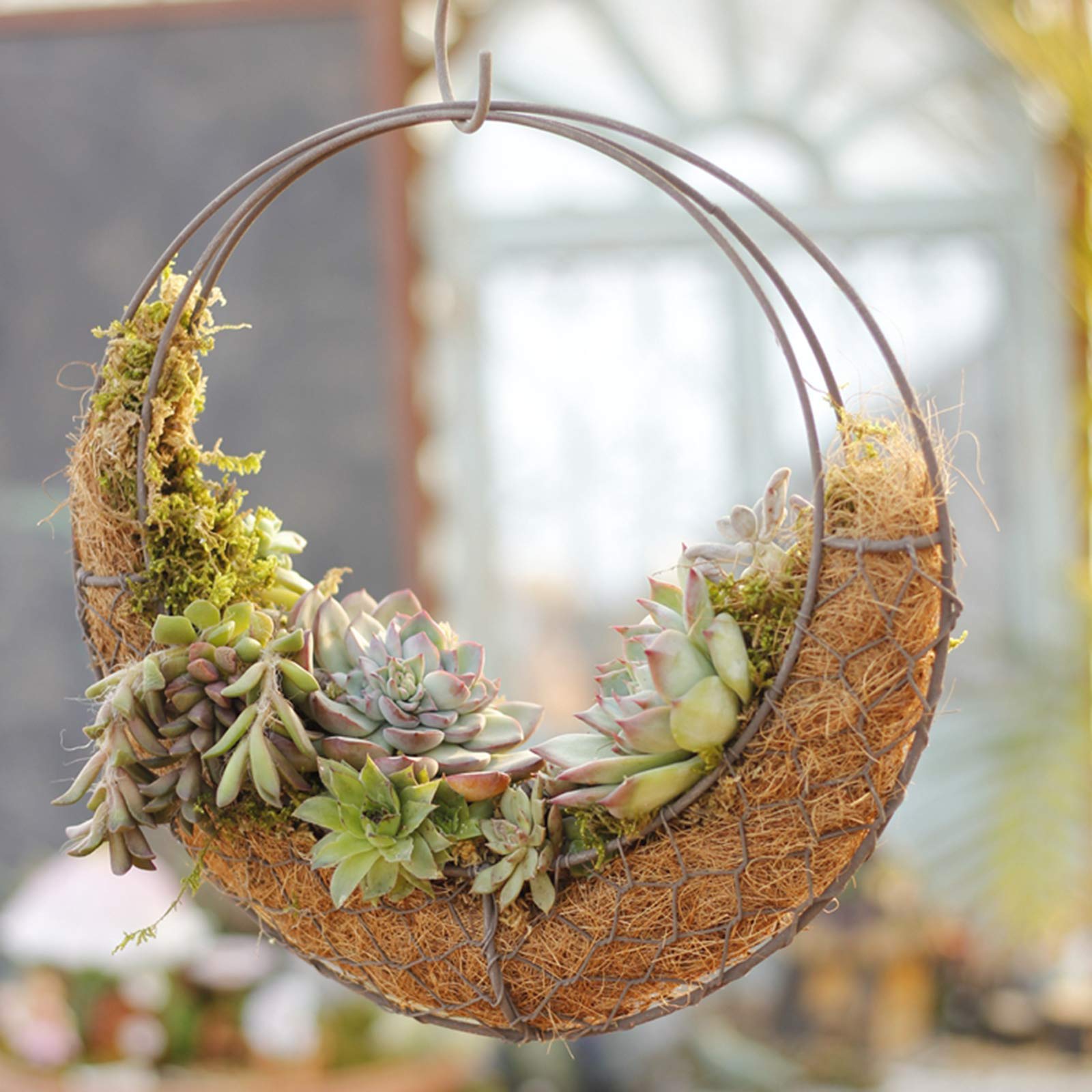 Snapklik.com : Wire Wreath Frame,Succulent Wall Hanging Plant Holder ...