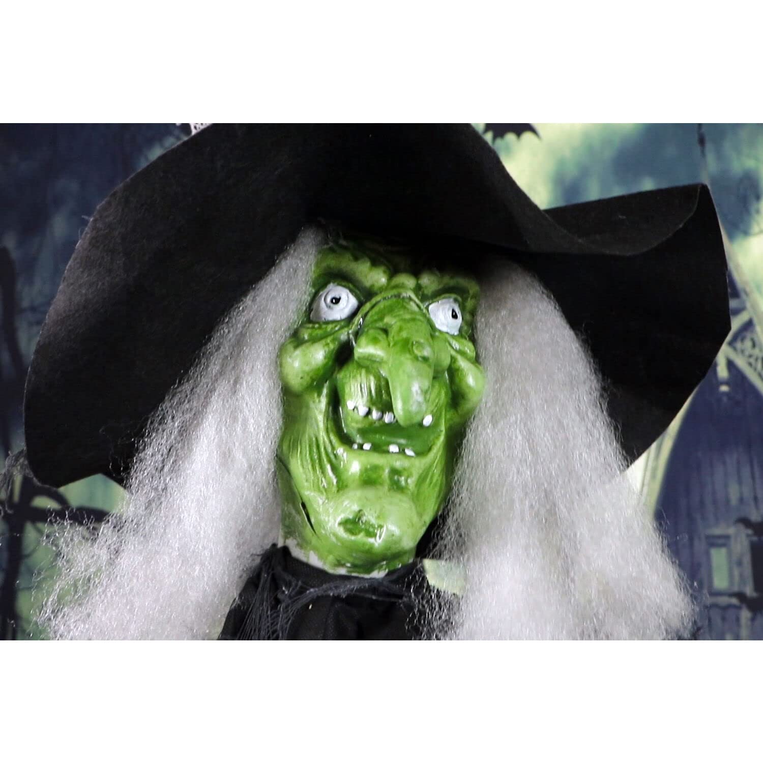 Haunted Hill Farm HHWITCH-1FLS Life-Size Animated Wicked Witch Prop w ...