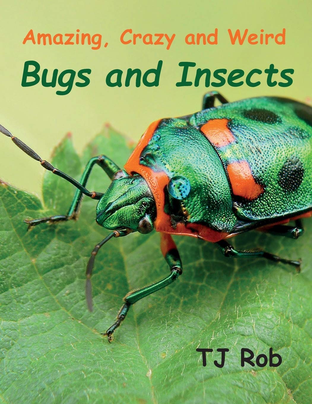 Amazing, Crazy and Weird Bugs and Insects: (Age 5 - 8) (Amazing Animal ...