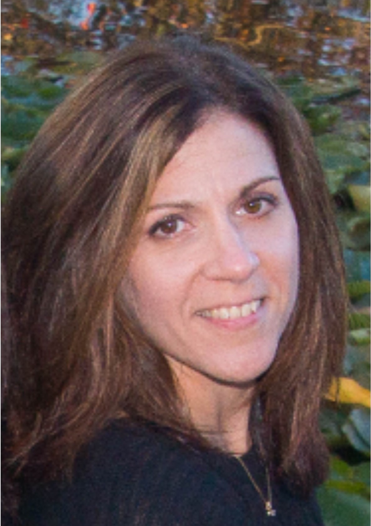 Amazon.com: Dawn Laveck-Palfi: books, biography, latest update