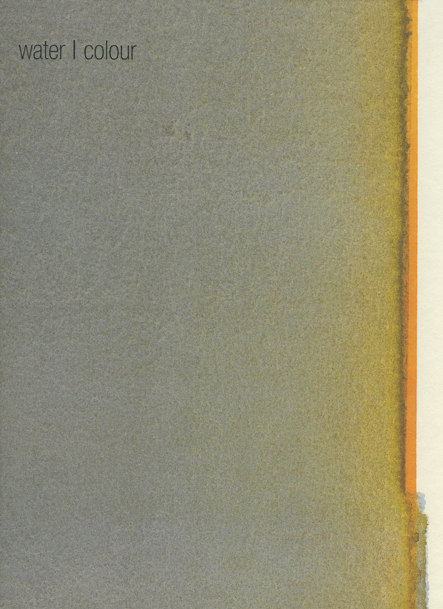 Amazon.com: Water / Colour: Callum Innes Colm Toibin: 9780966215830 ...