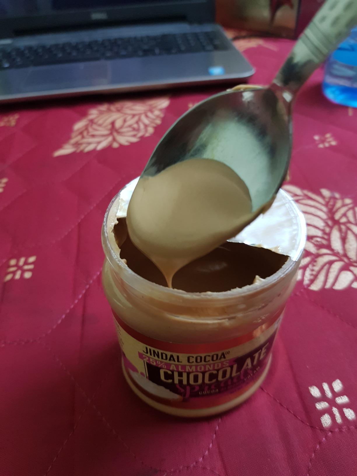 Jindal Cocoa Chocolate Spreads, Almond Cream, 320 g : Amazon.in ...