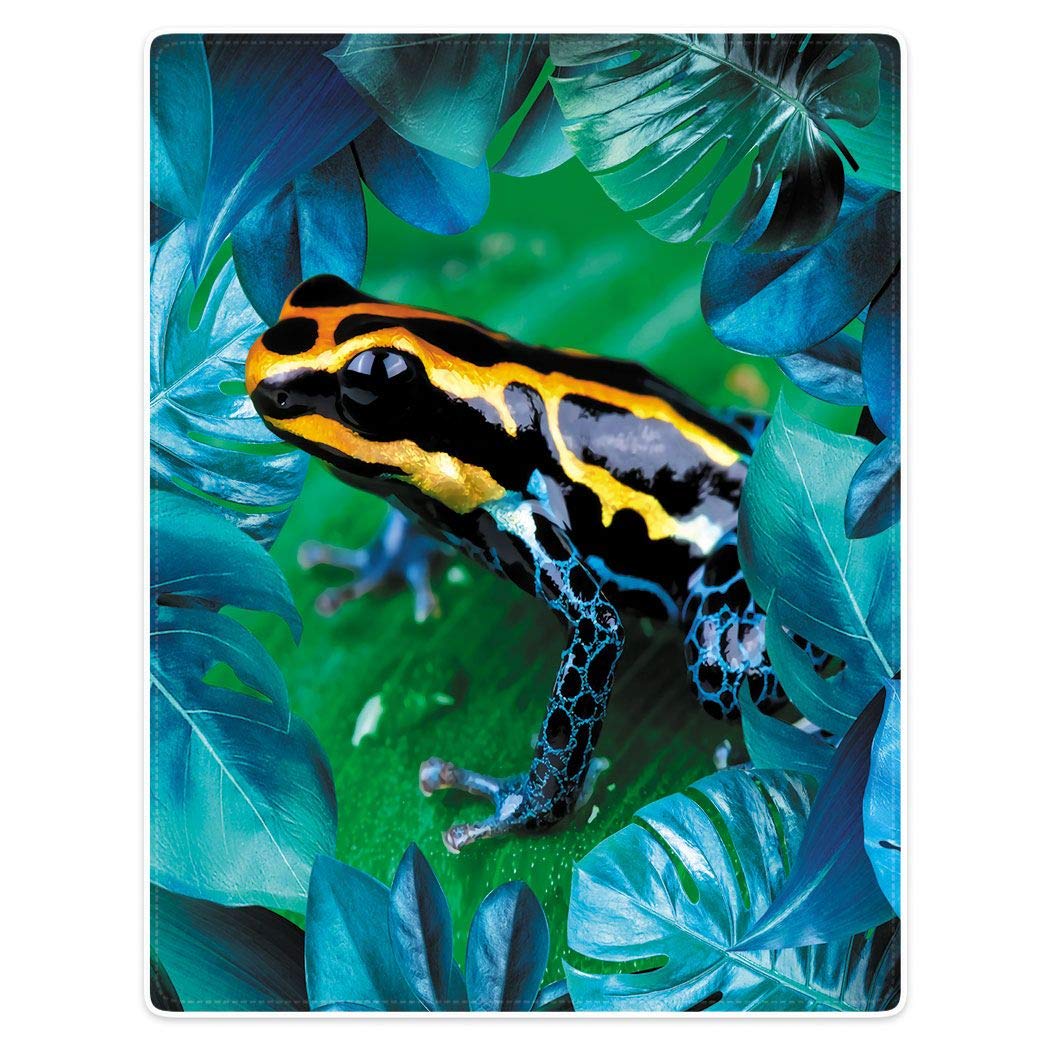 Rainbow Poison Dart Frogs