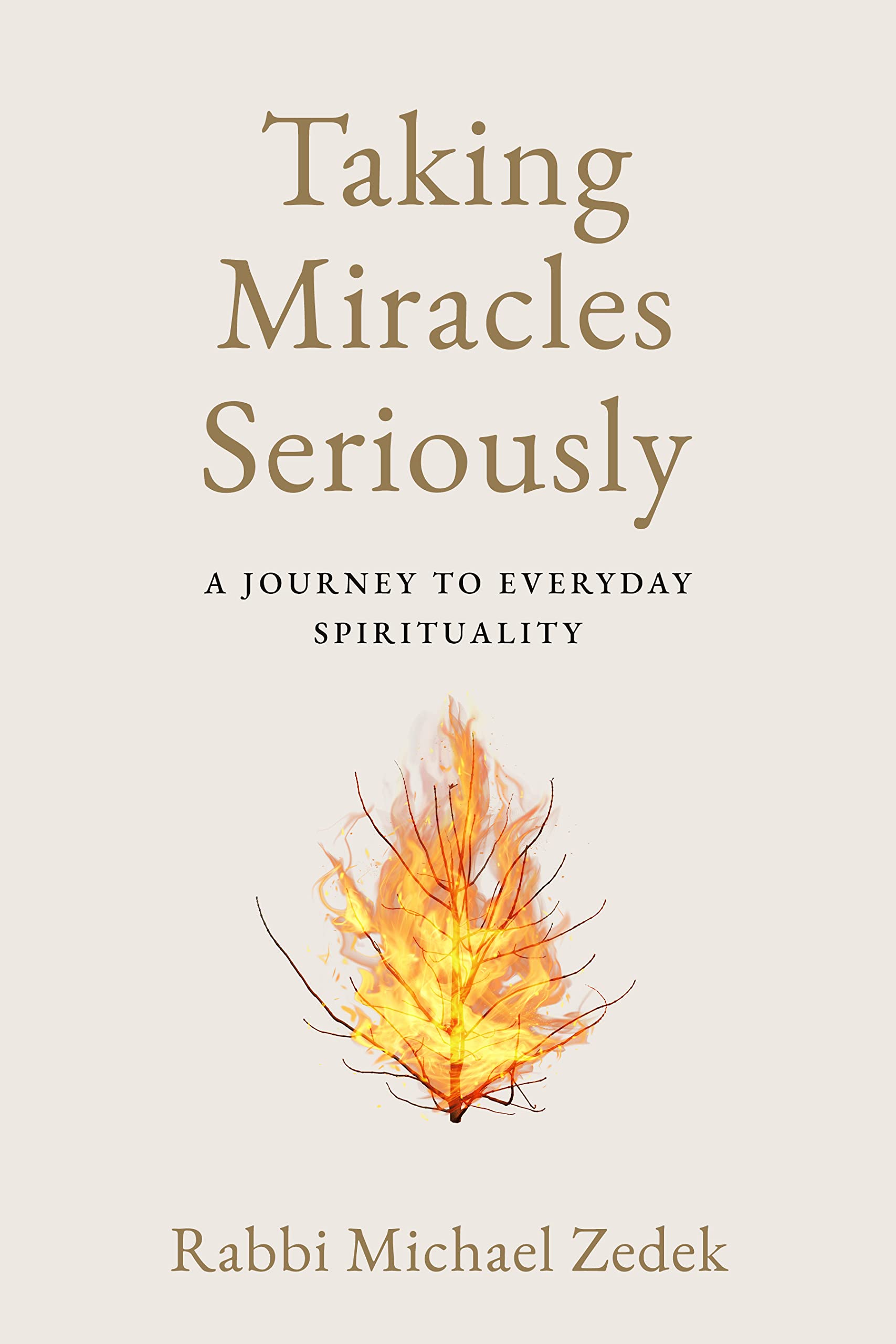 Taking Miracles Seriously: A Journey to Everyday Spirituality: Zedek ...
