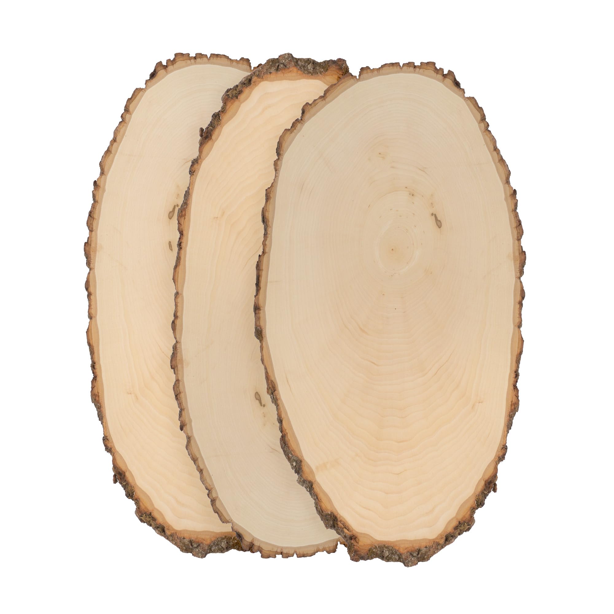 Amazon.com: Walnut Hollow Basswood Round, Large 9-12" Wide with Live ...