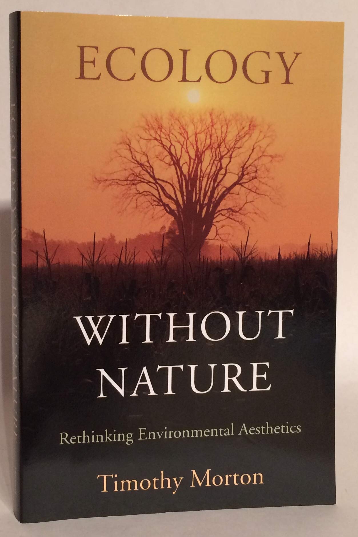 Amazon.com: Ecology without Nature: Rethinking Environmental Aesthetics ...