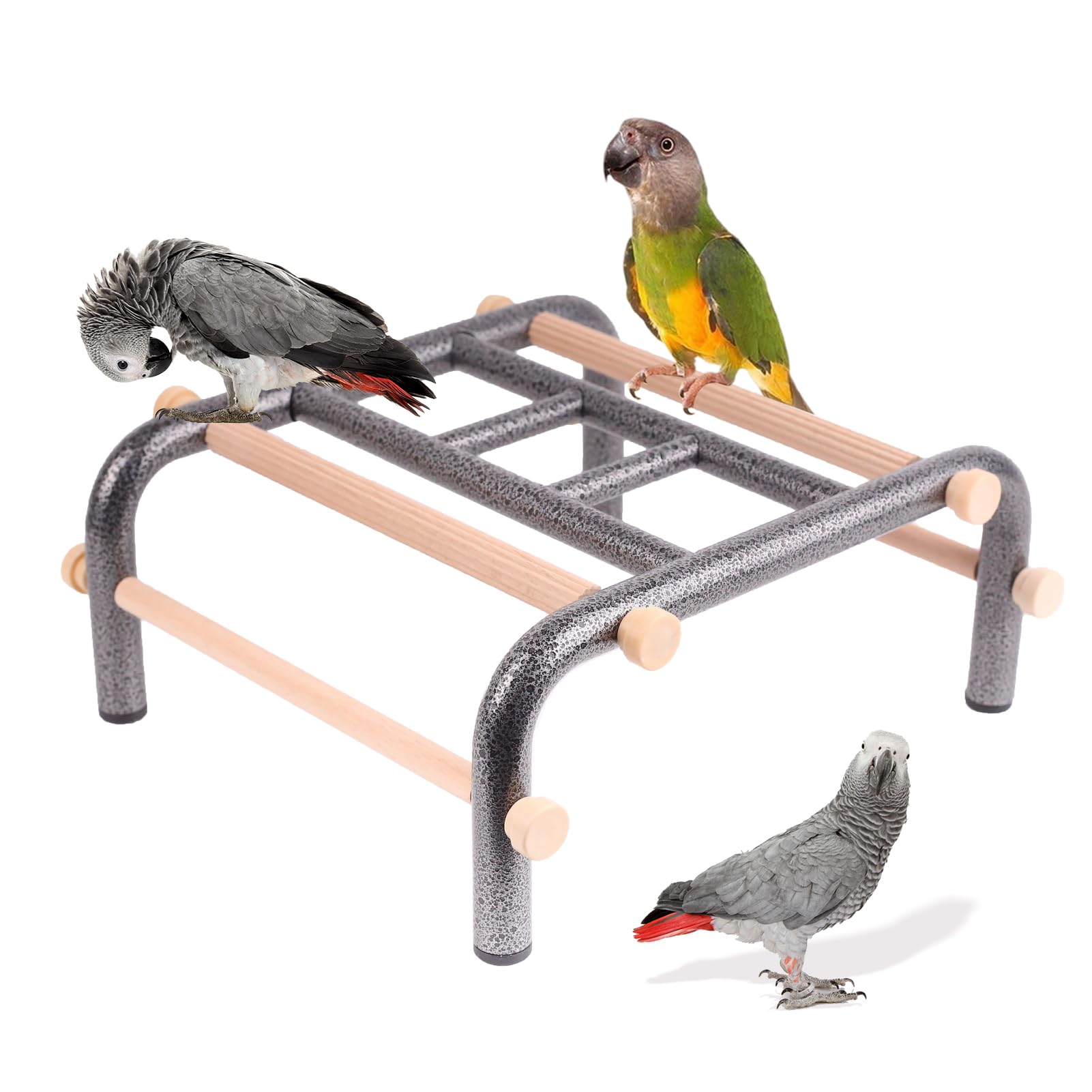 Snapklik.com : Metal Ladder Large Bird Training Perch For Fun And ...