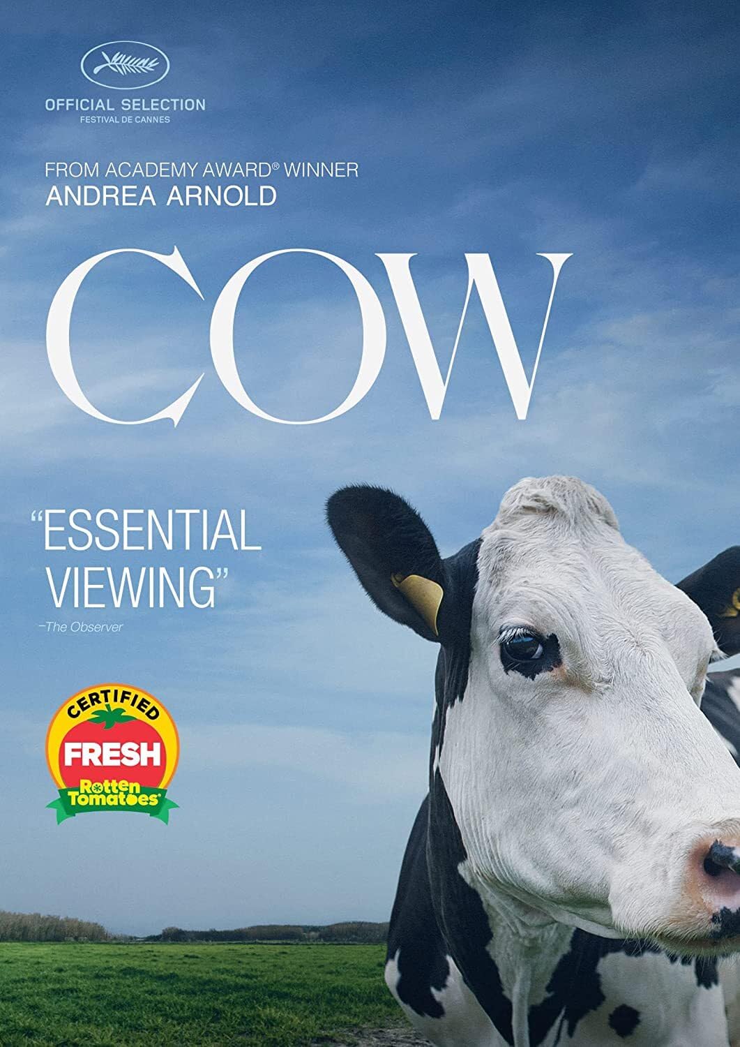 Amazon.com: COW : Lin Gallagher, Andrea Arnold: Movies & TV