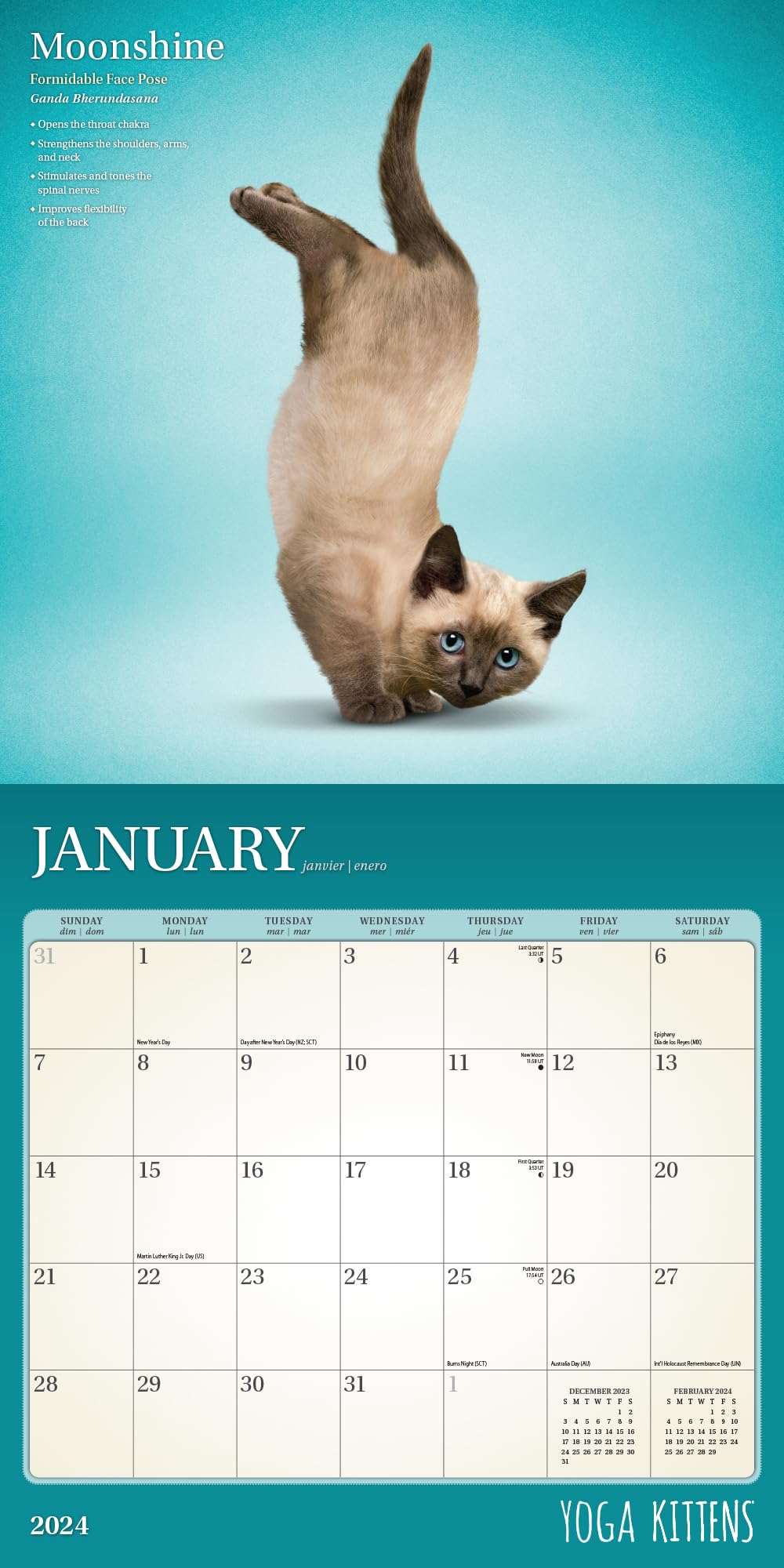 Cat Yoga Calendar