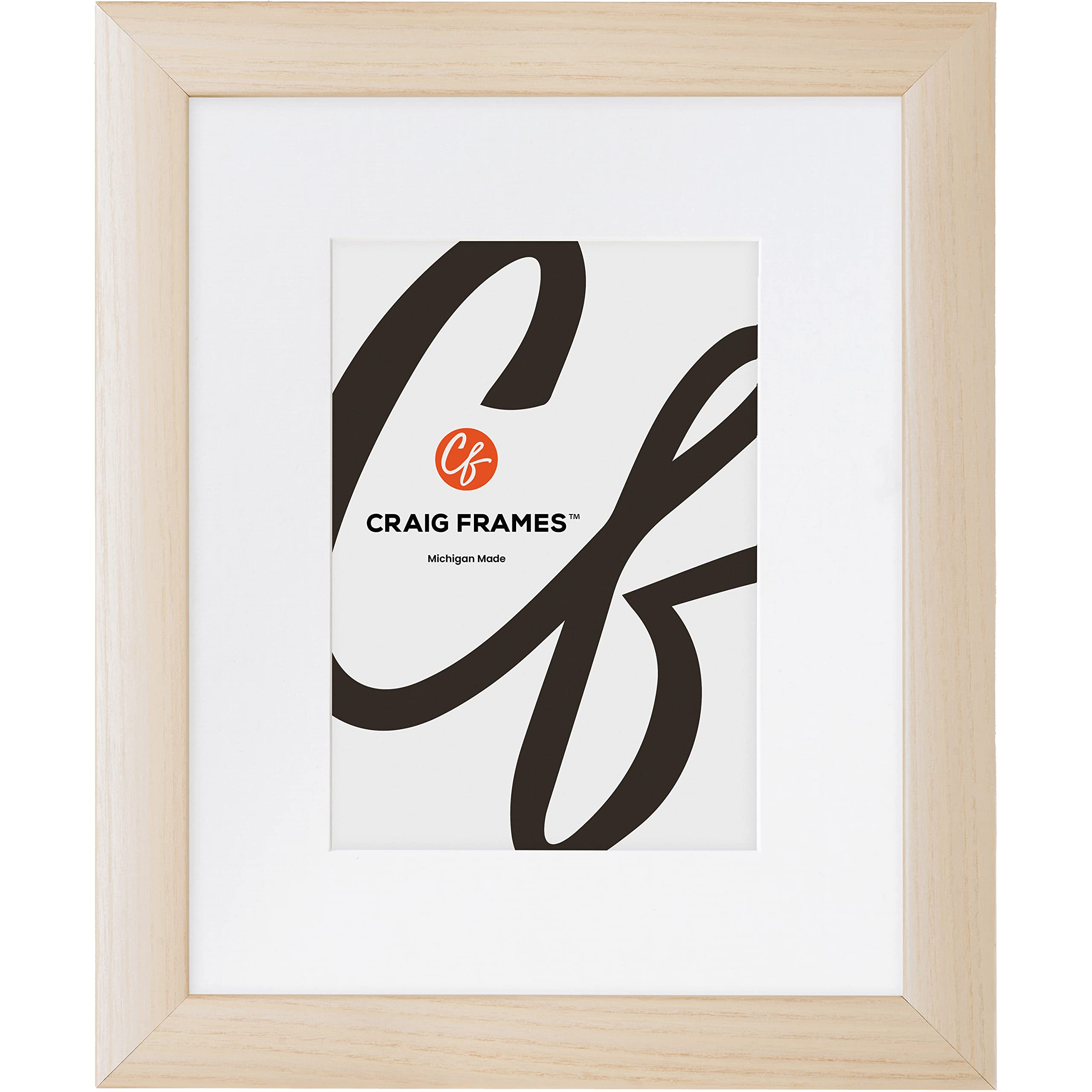 Amazon.com - Craig Frames Contemporary, 10x13 Picture Frame Matted for ...