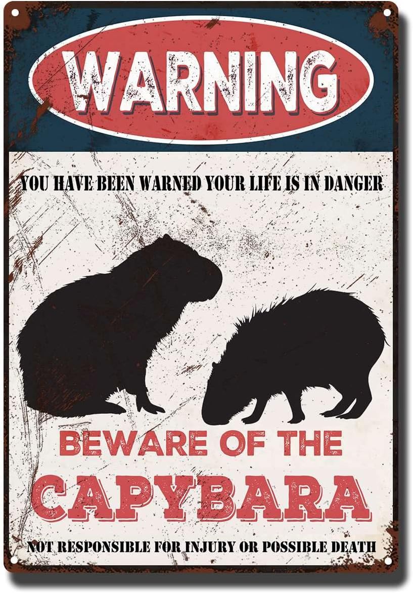 Amazon.com: THUANCKY Vintage Tin Sign Beware of The Capybara Tin Signs ...