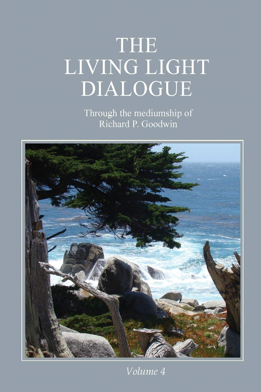 The Living Light Dialogue Volume 4: Spiritual Awareness Classes of the ...