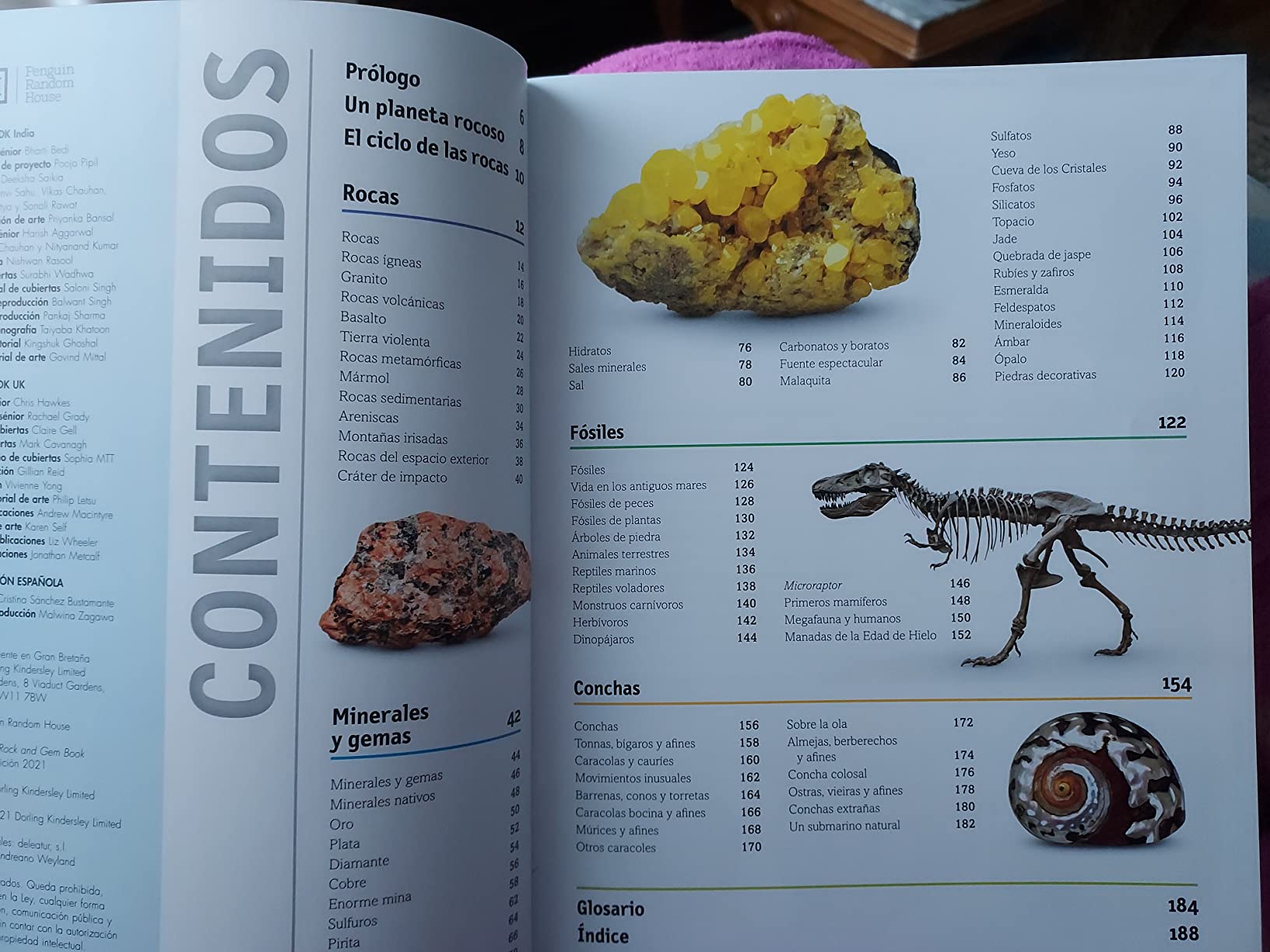 El libro de las rocas y los minerales: ... y otros tesoros del mundo ...