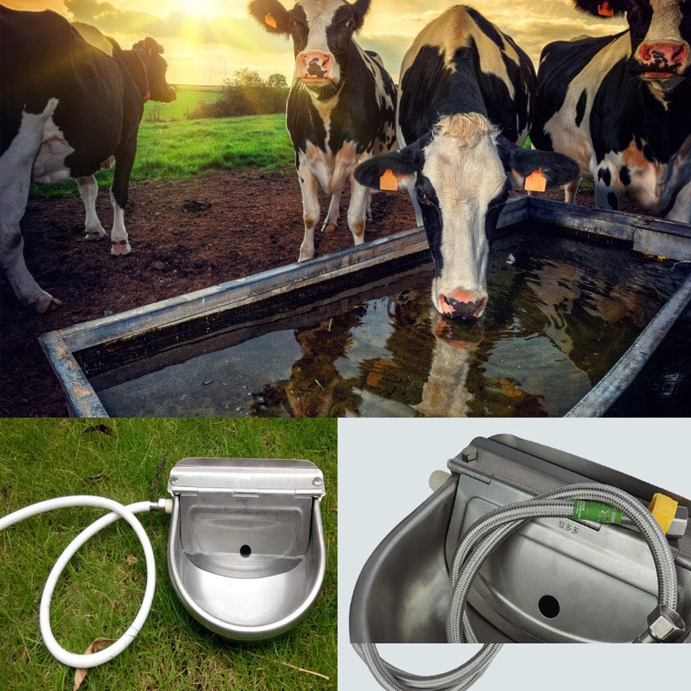 Farm Animals Drinking Water Water Quality And Its Effect On Livestock: