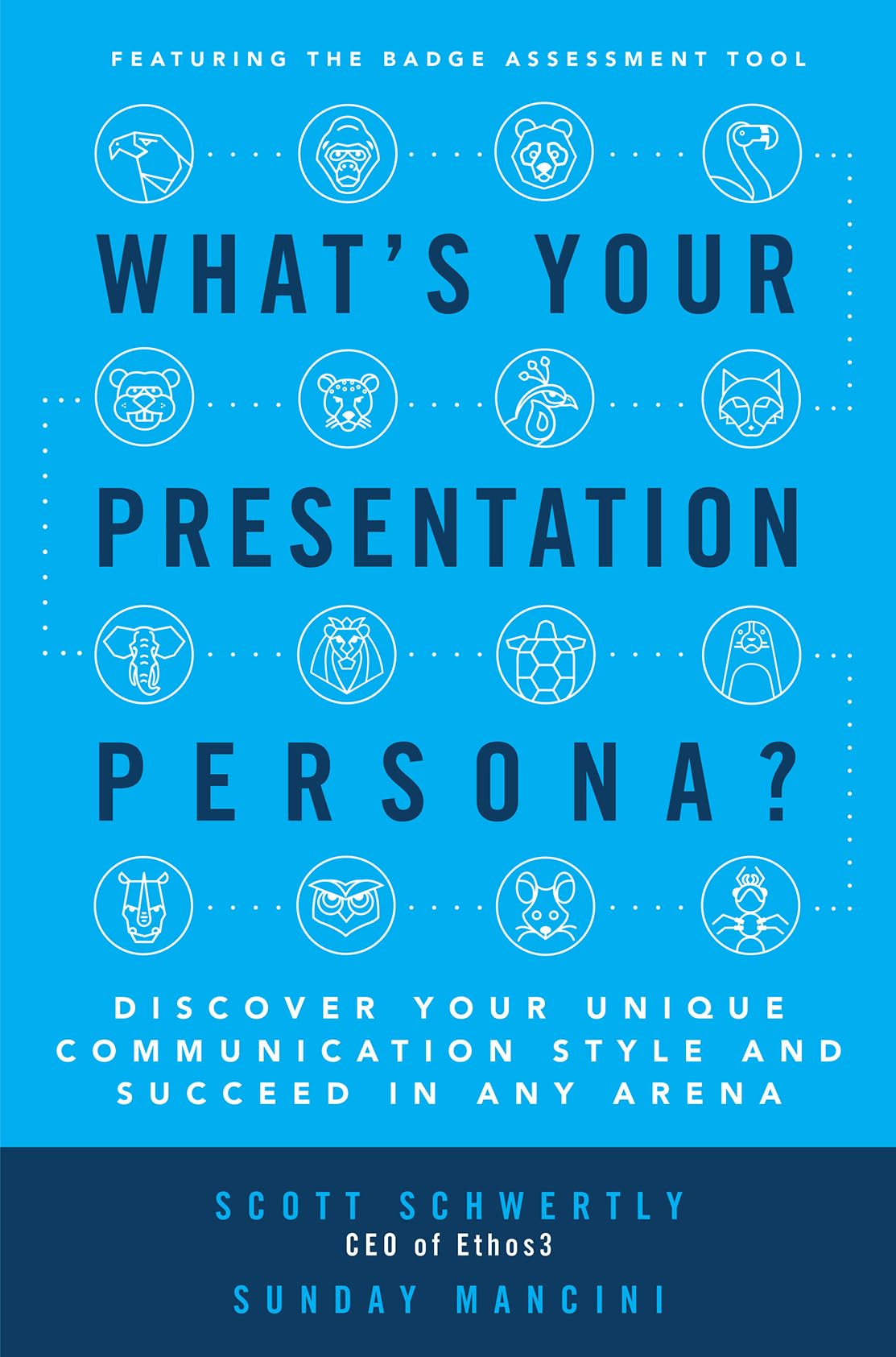 What's Your Presentation Persona? Discover Your Unique Communication ...
