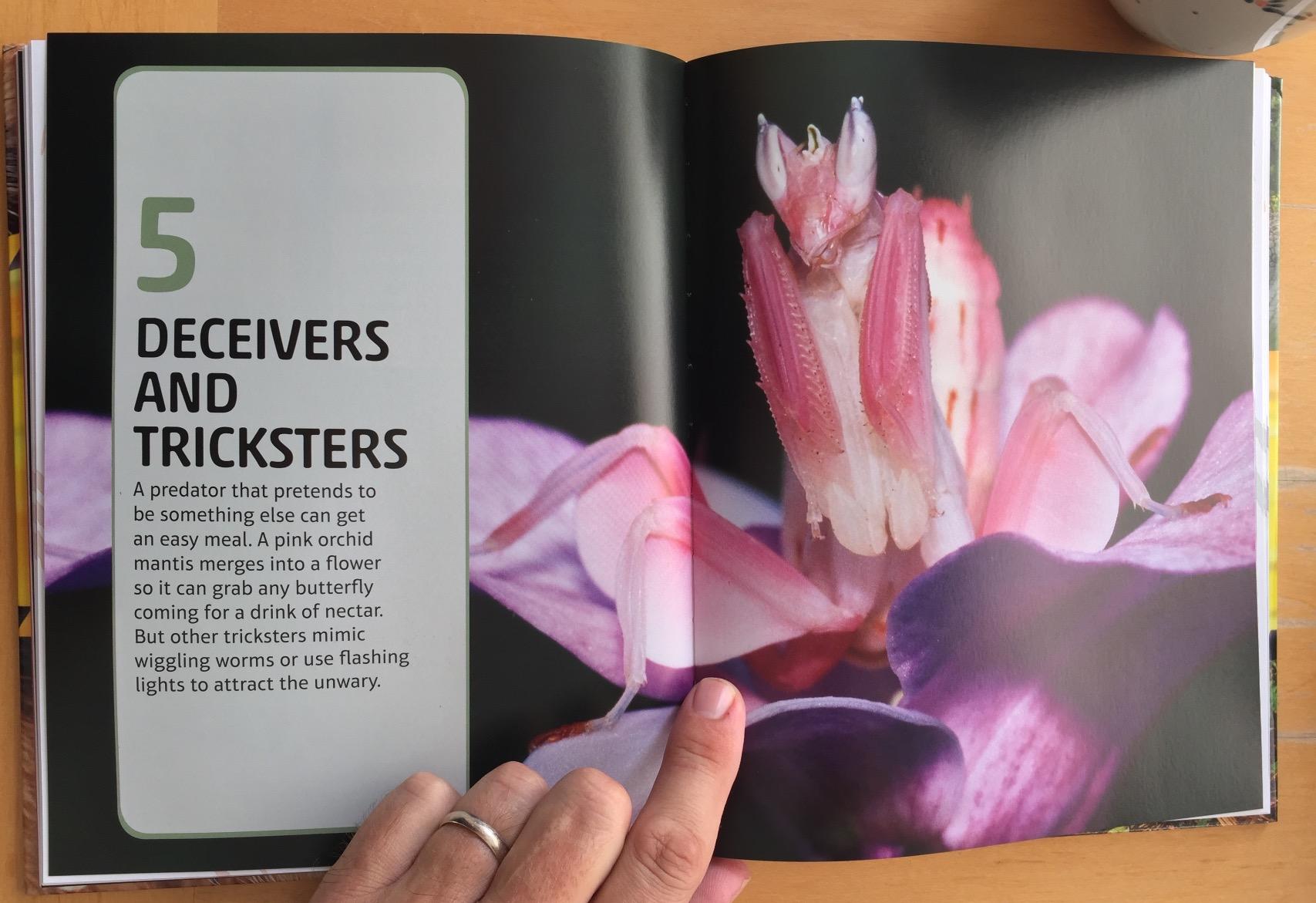 Nature's Deadliest Creatures Visual Encyclopedia (DK Children's Visual ...