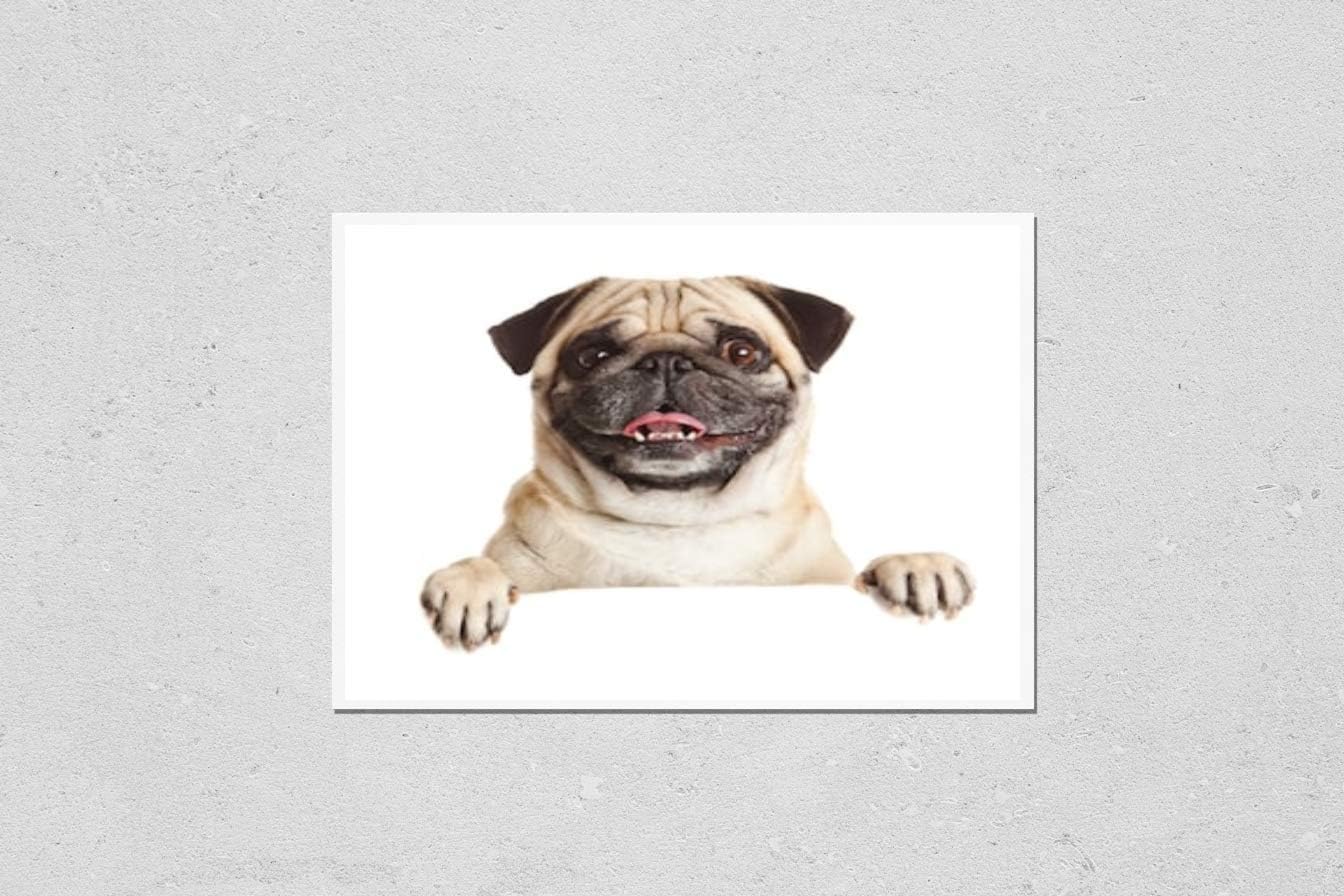 Amazon.com: HardPress Wall Art Poster Print of Pug Dog with Blank ...