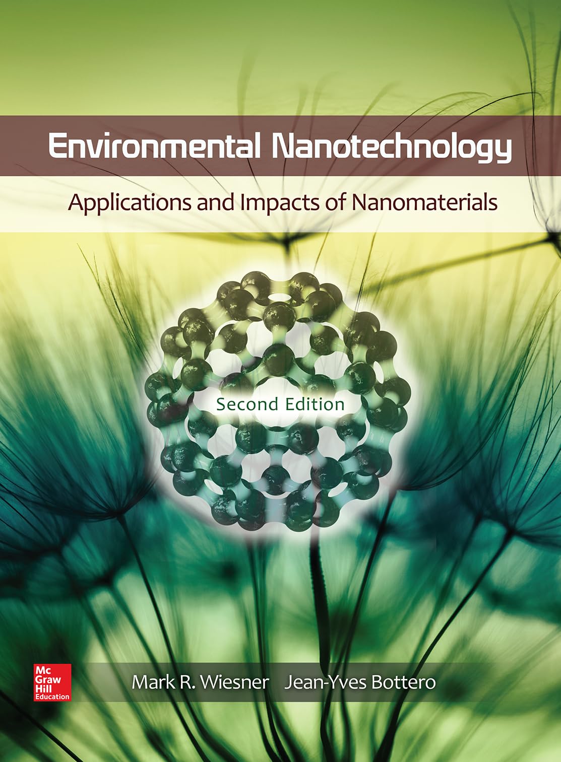 Environmental Nanotechnology: Applications and Impacts of Nanomaterials ...
