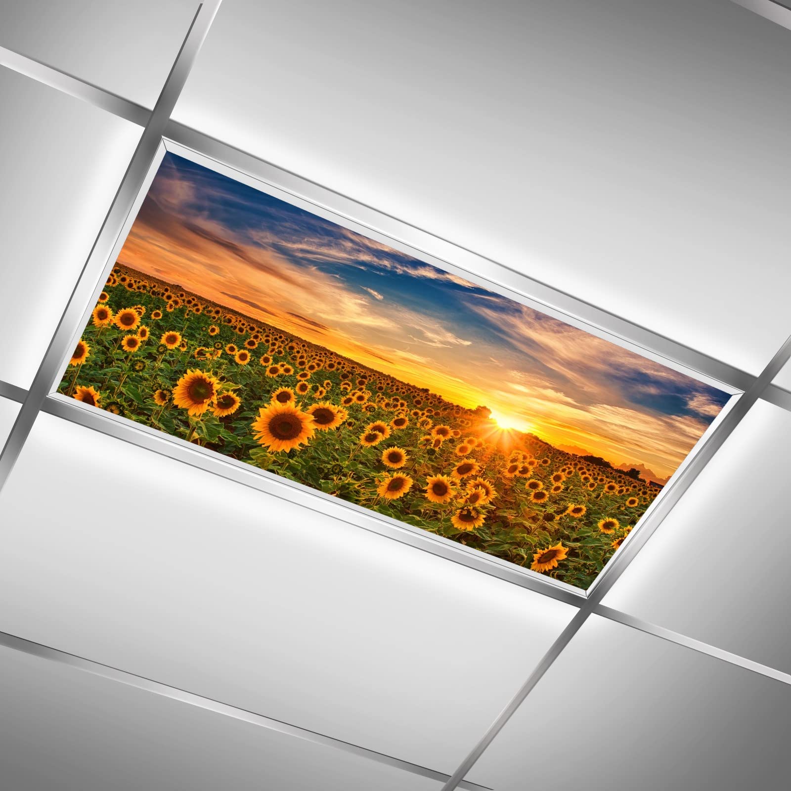 BIROSVSY Fluorescent Light Covers for Classroom Office Eliminate Harsh ...