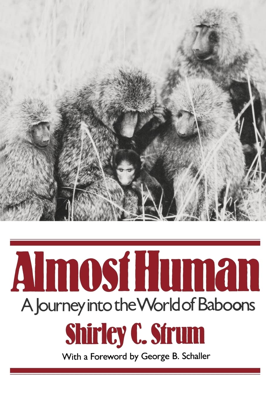 Almost Human (Strum): A Journey Into the World of Baboons: Amazon.co.uk ...