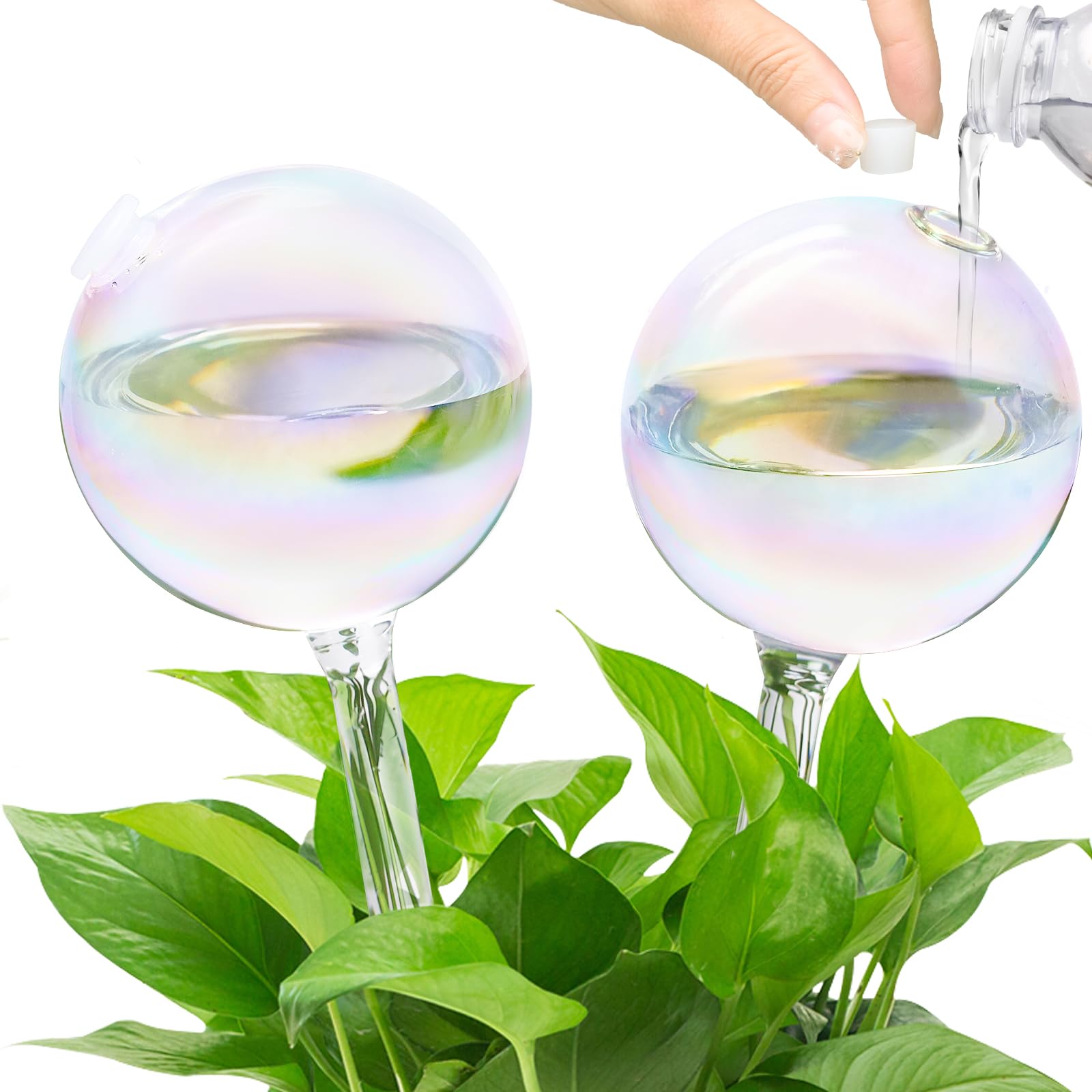 Plant Watering Globes, 2 Pcs Iridescent Clear Self Watering Planter ...