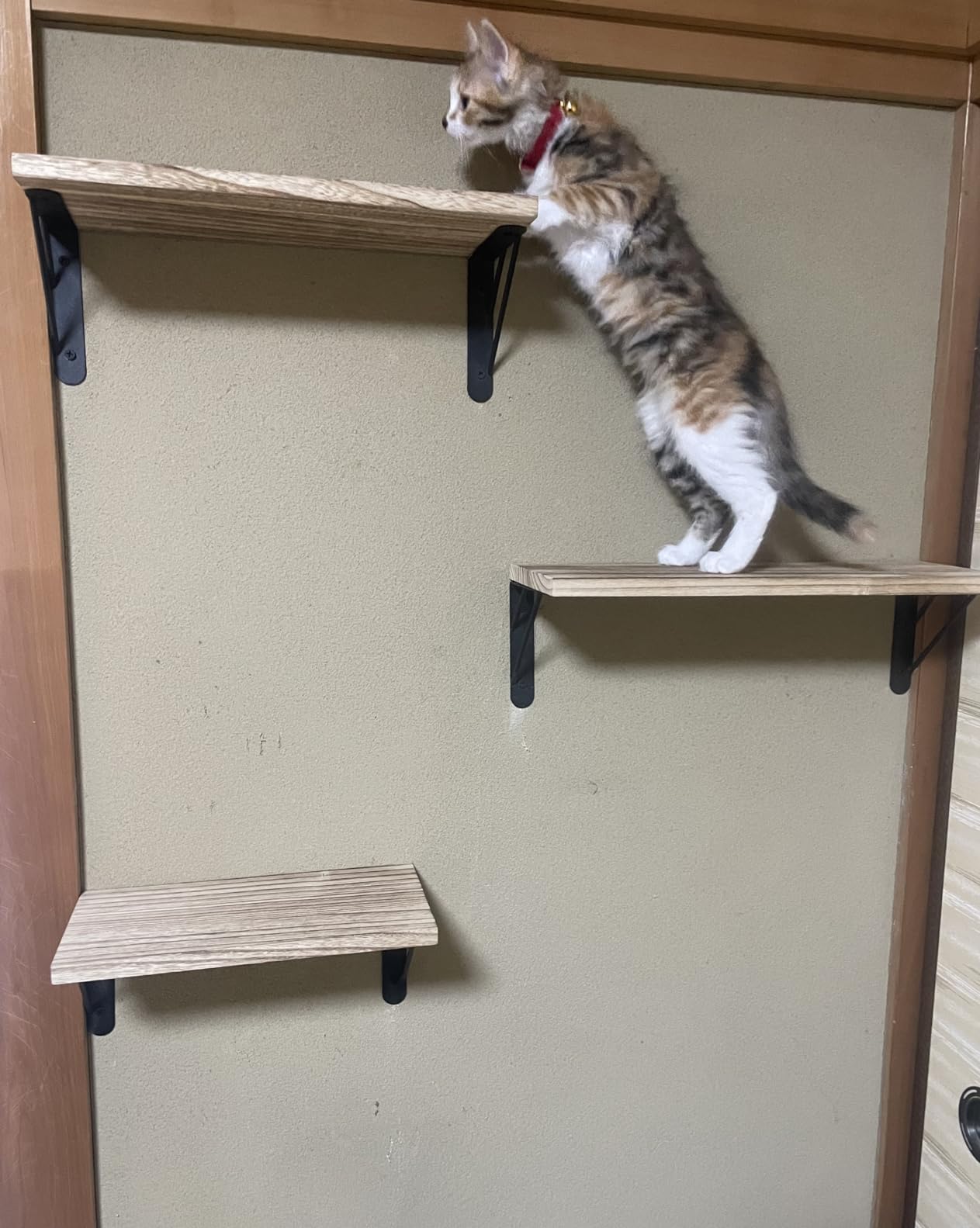 Amazon｜HASONA ウォールシェルフ 壁掛け棚 DIY組み立て 3個セット 壁 棚 ラック おしゃれ 天然木製 ウォールラック 飾り棚 幅42cm 玄関/居間/キッチン/洗面所/寝室 ...