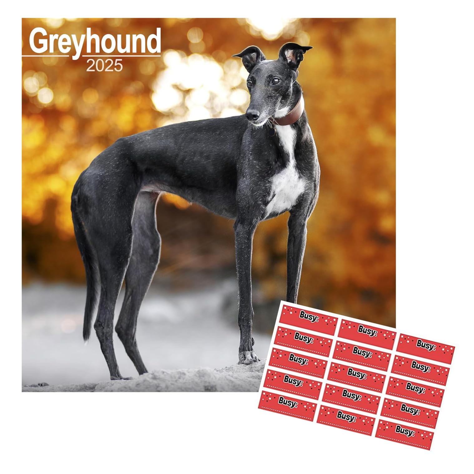 Greyhound Calendar 2025 | 16 months | with FREE Organisational Stickers ...