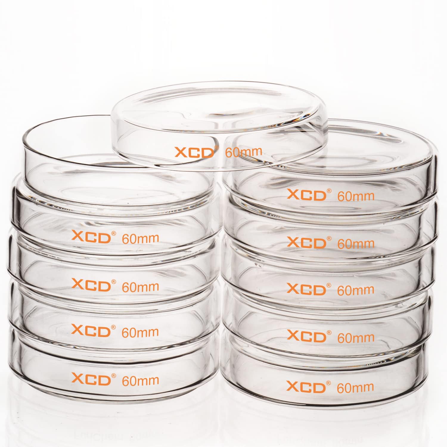 XCD Glass Petri Dishes, 10 Pack Borosilicate Glass Cell Culture Dishes ...