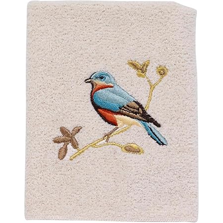 Amazon.com: Avanti Linens - Washcloth, Soft & Absorbent Cotton, Nature ...