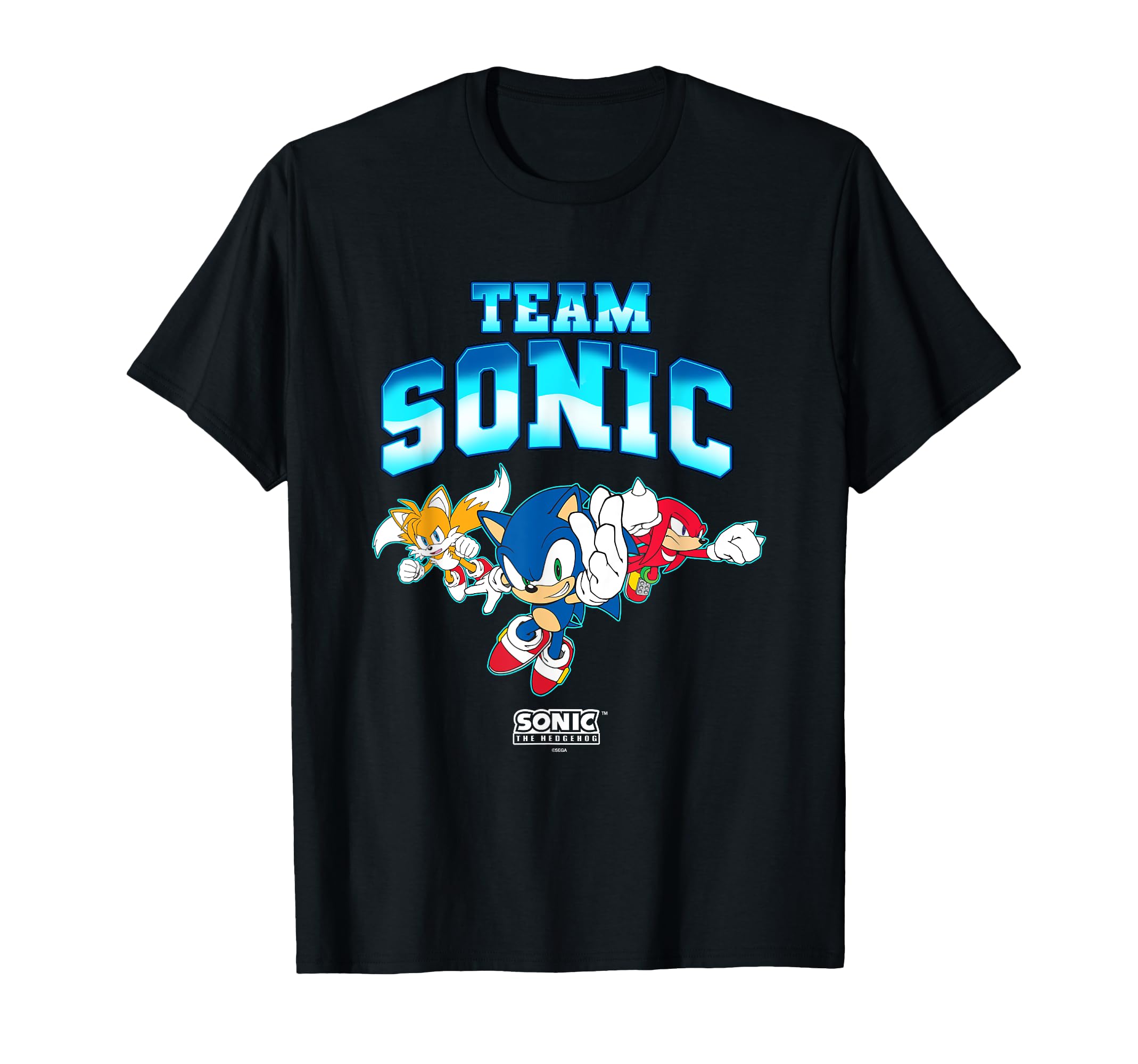 Amazon.com: Sonic The Hedgehog Team Sonic Main Trio Epic Group Shot T ...