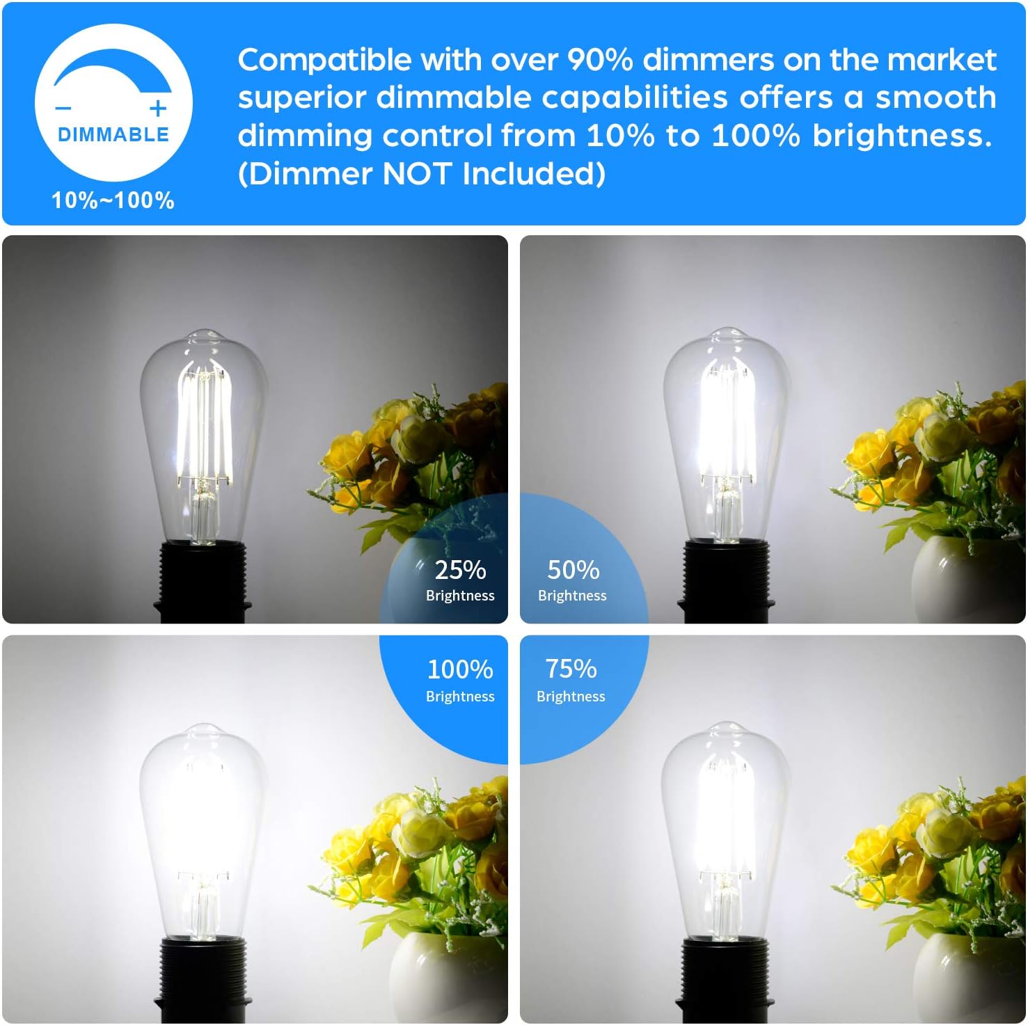 LED Bulbs 7W Daylight White 5000K ST58 Antique LED Filament Bulbs with ...