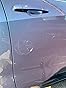 Shiny Car Stuff Hand-Applied Clear Coat, Automotive - Amazon Canada
