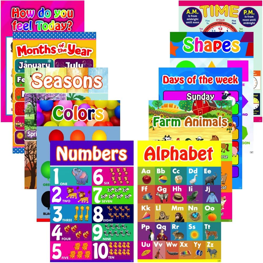 Amazon.com: L&O Goods 10-Pack Large Educational Posters for ...