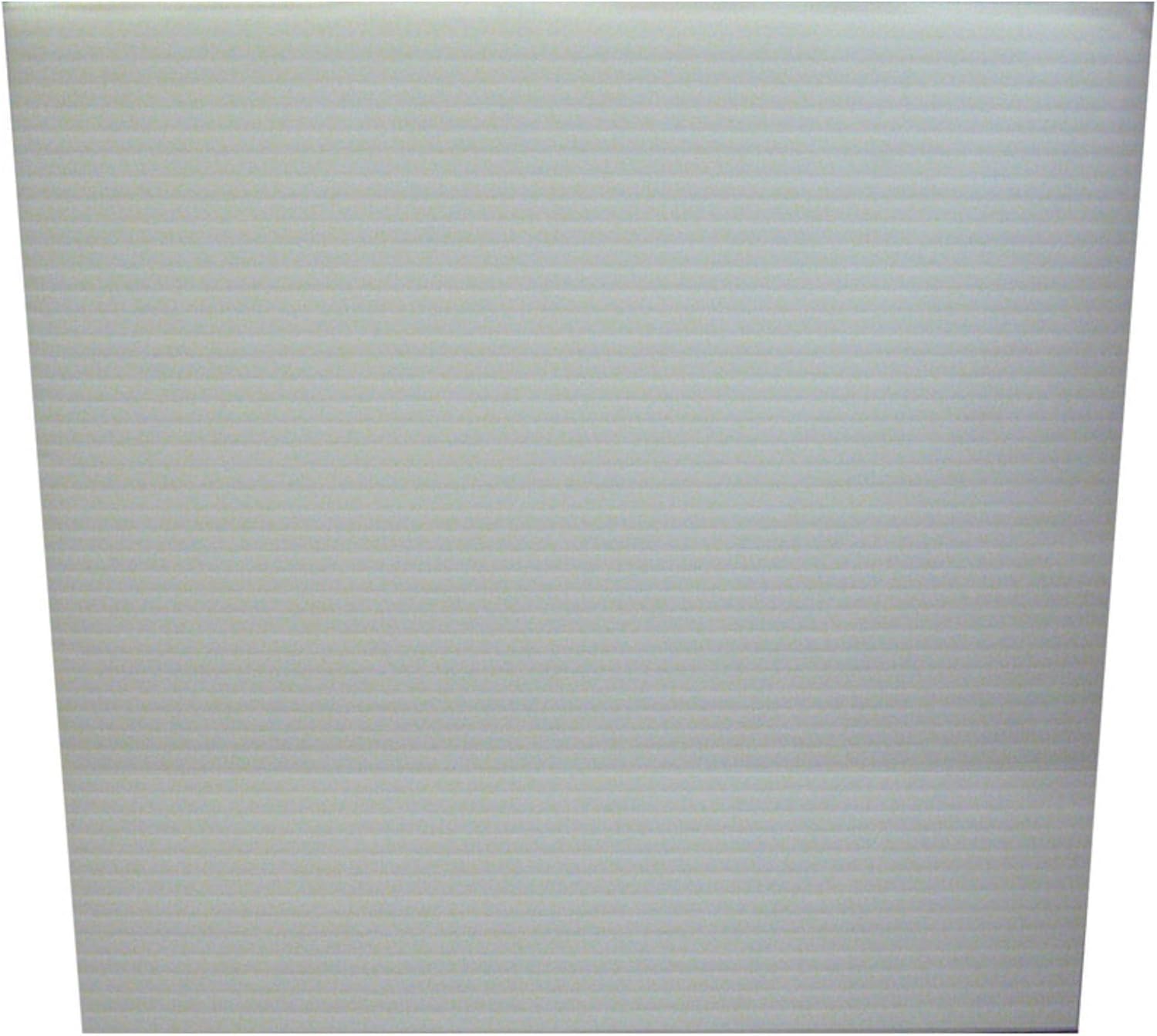Amazon.com: Plaskolite Corrugated Sheets 24" X 48" White : Industrial ...