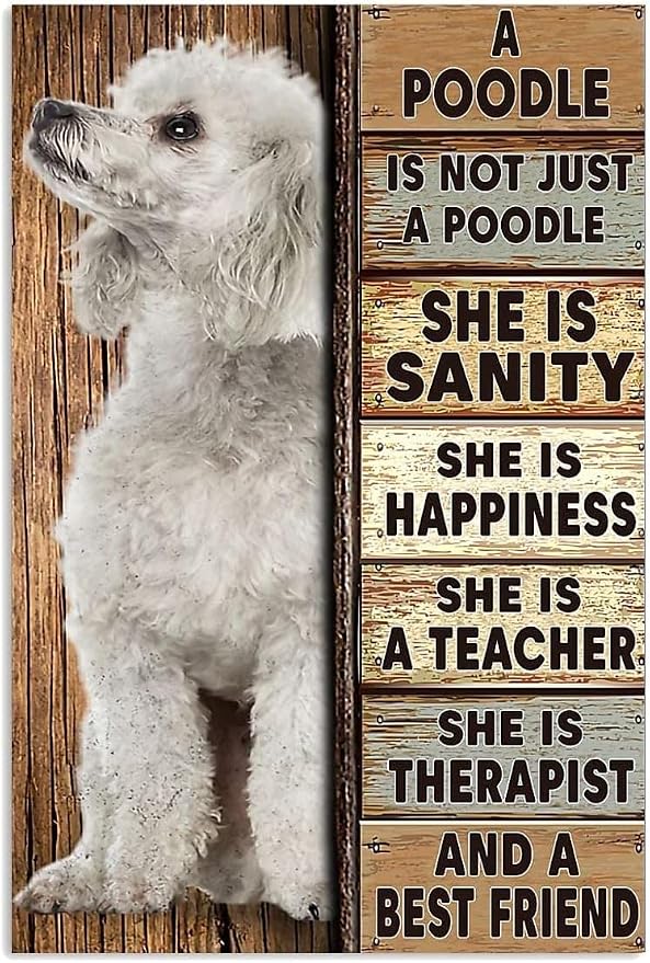 Amazon.com: WHYATT 5D Diamond Painting Kits A Poodle is not just a ...