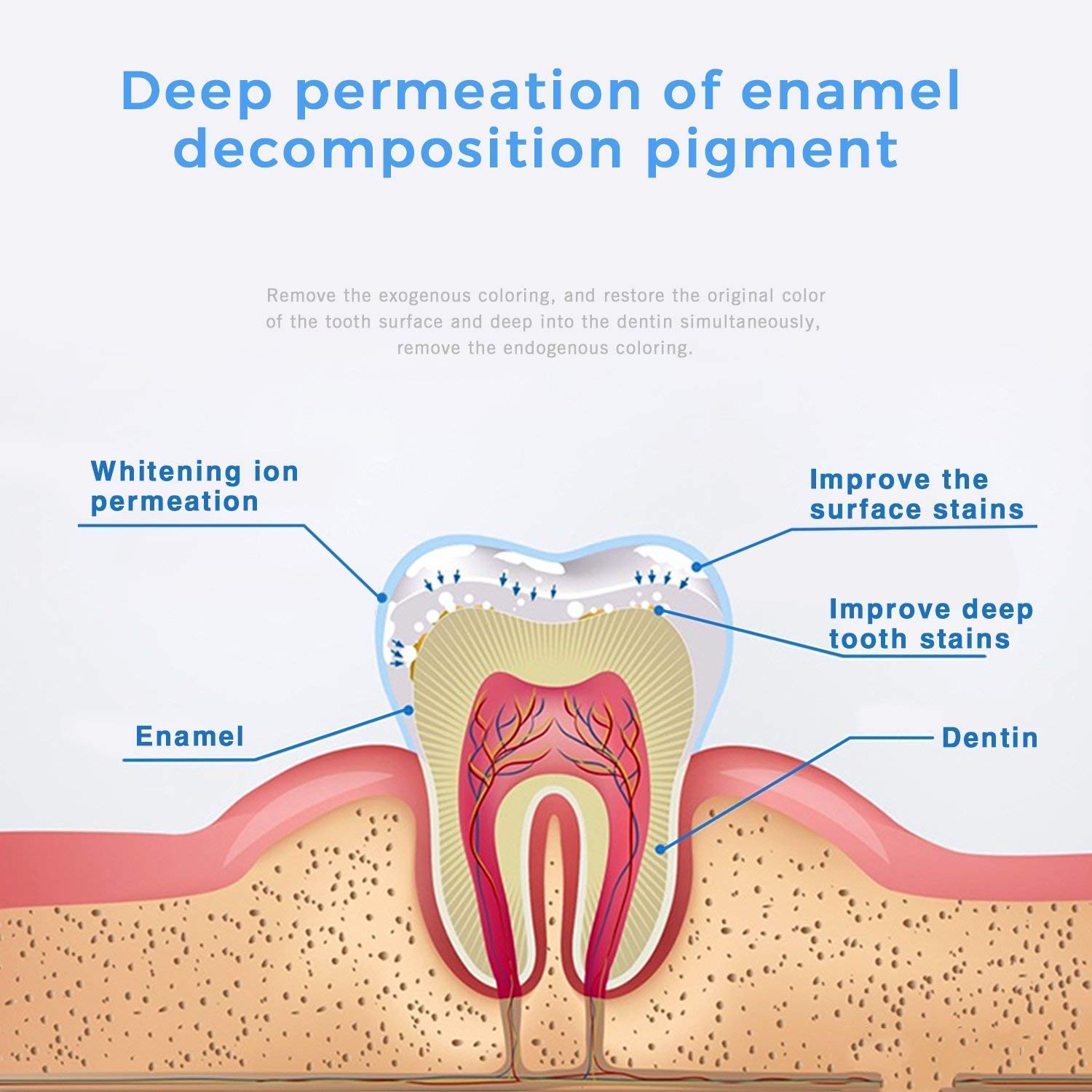 Buy Family Teeth Whitening Kit 35% Carbamide Peroxide Teeth Whitener ...