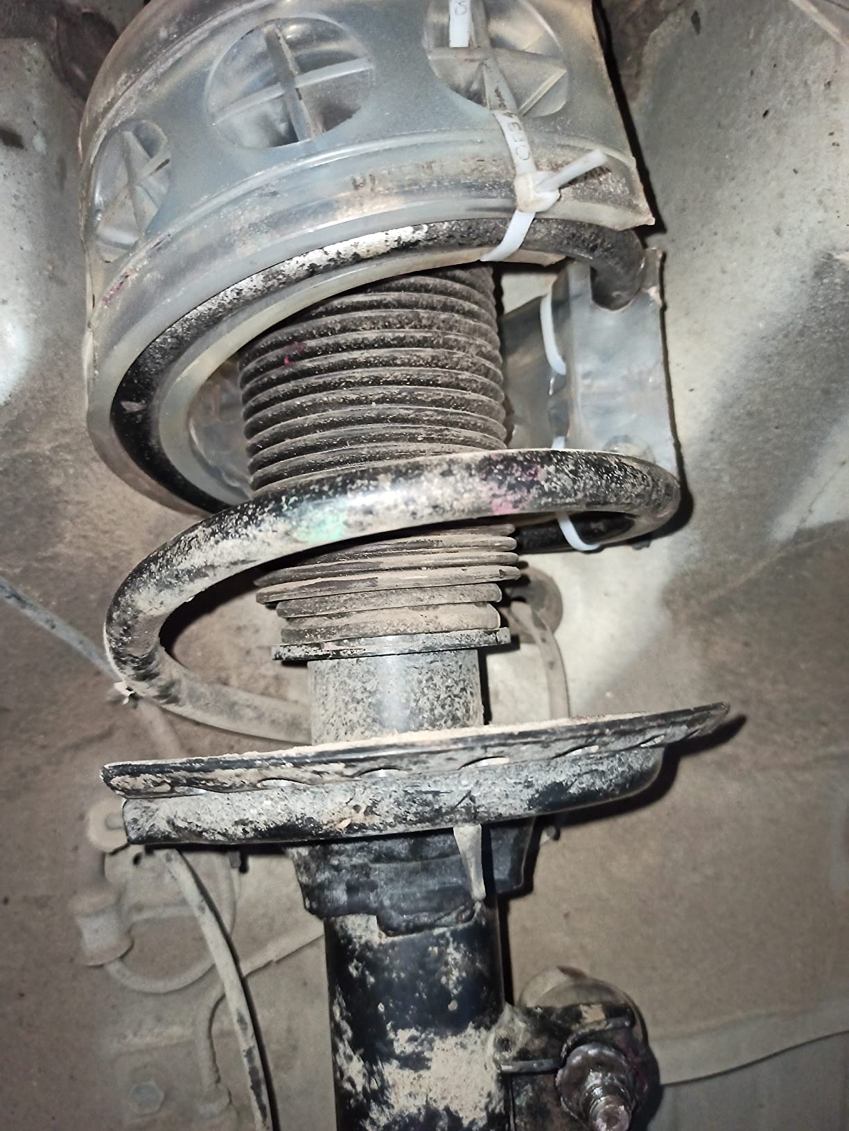 ROGER Rogerab For MARUTI Grand Vitara (BOTH- 4PCS) Coil Spring Buffer ...