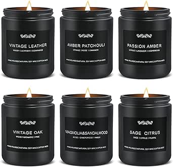 Amazon.com: 6 Pack Candles for Home Scented Aromatherapy Candles Gifts ...