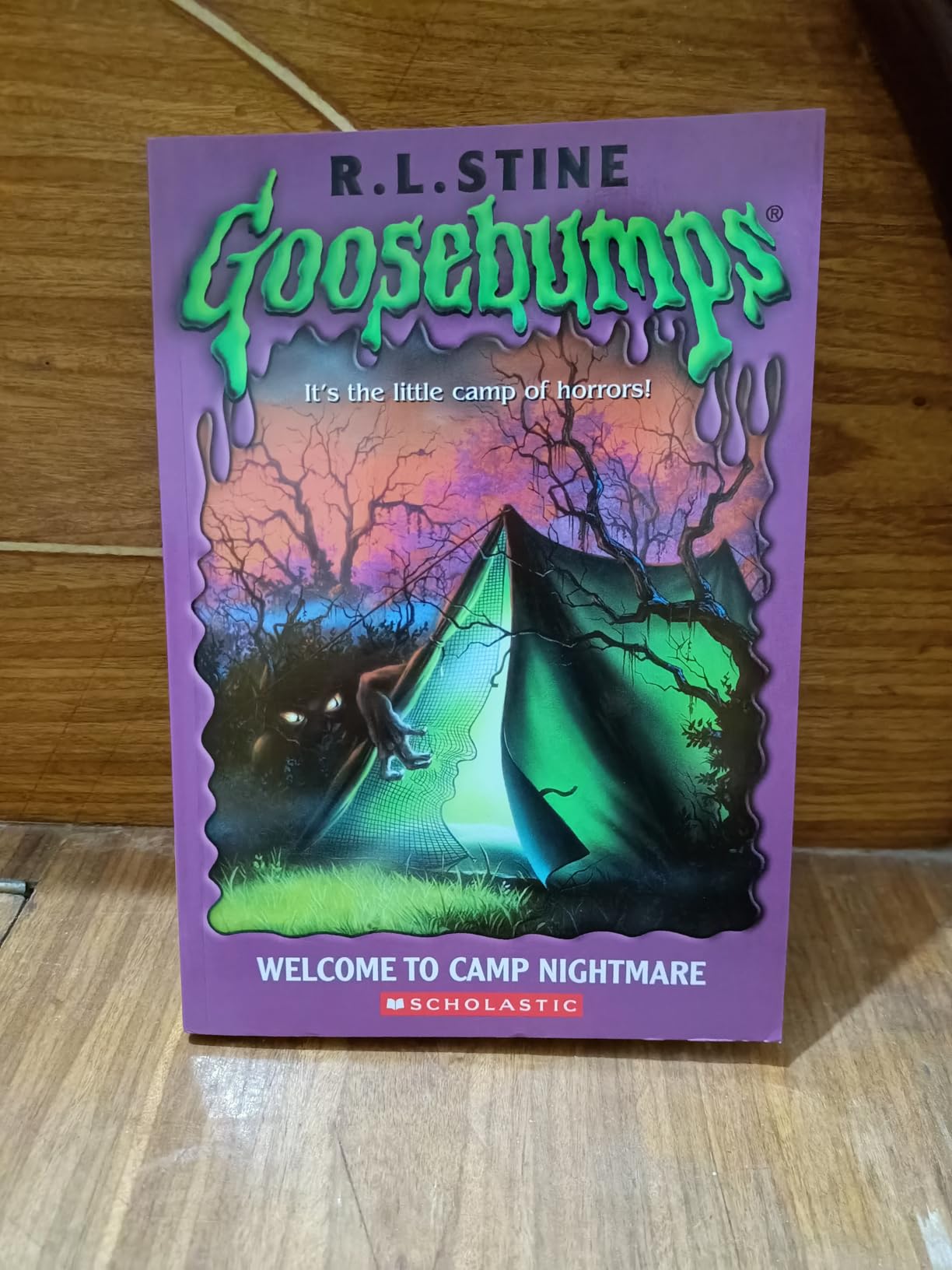 GB #09 WELCOME TO CAMP NIGHTMARE R.L. Stine : R.L. Stine: Amazon.in: Books