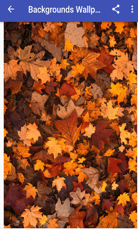 Backgrounds Wallpapers - App on Amazon Appstore