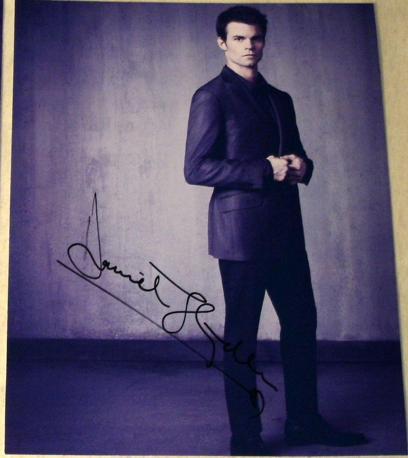Daniel Gillies Signed Autograph "vampire Diaries" Hot Stud Promo 8x10 ...