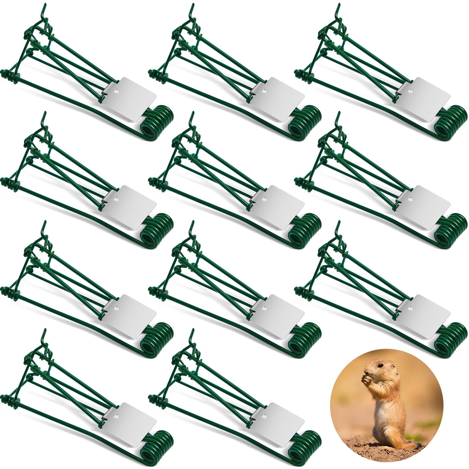 Amazon.com : Qualirey 12 Pcs Outdoor Gopher Trap Easy Set Mole Trap ...