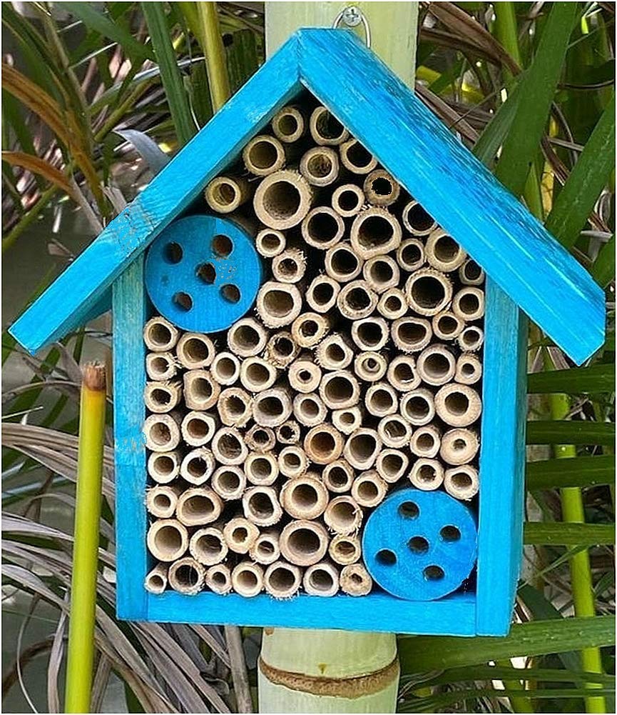 Snapklik.com : Mason Bee Houses And Supplies : Hand Made Bamboo Tube ...