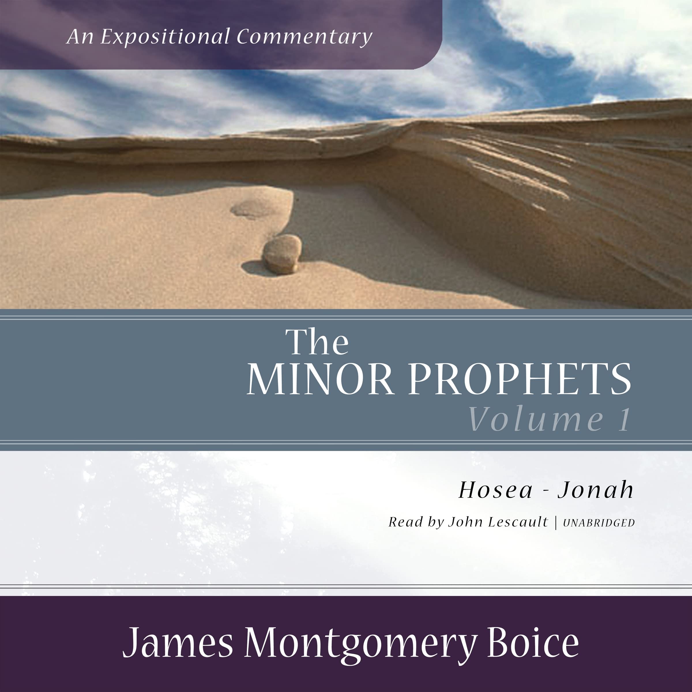 The Minor Prophets - an Expositional Commentary: Hosea-jonah ...