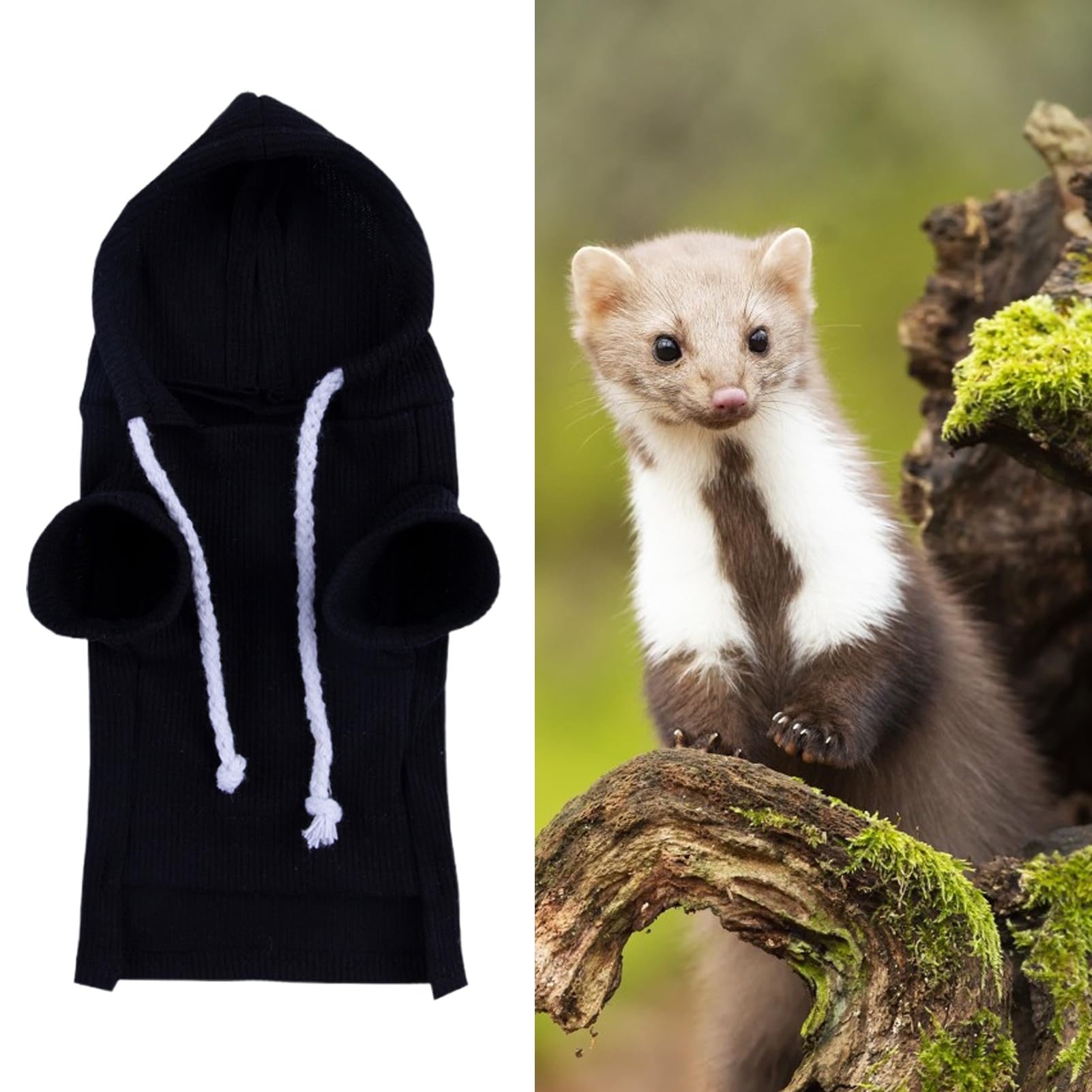 Solid Black Black Ferret