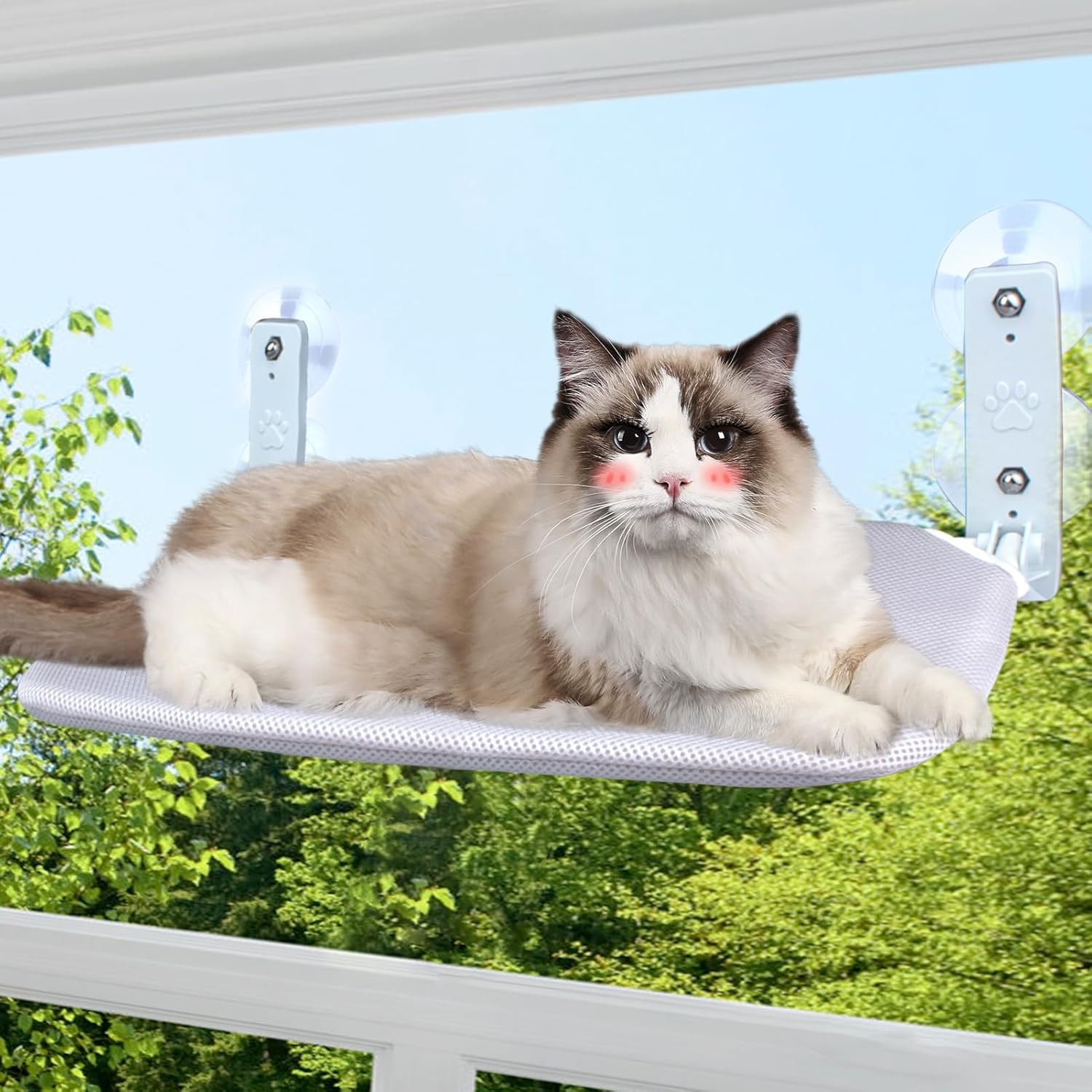Amazon.com : HOMEHIGH Cat Window Perch, Cat Hammock for Window Cat Bed ...