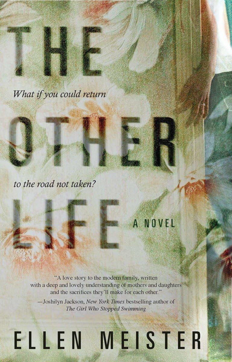 The Other Life: Meister, Ellen: 9780425243374: Amazon.com: Books