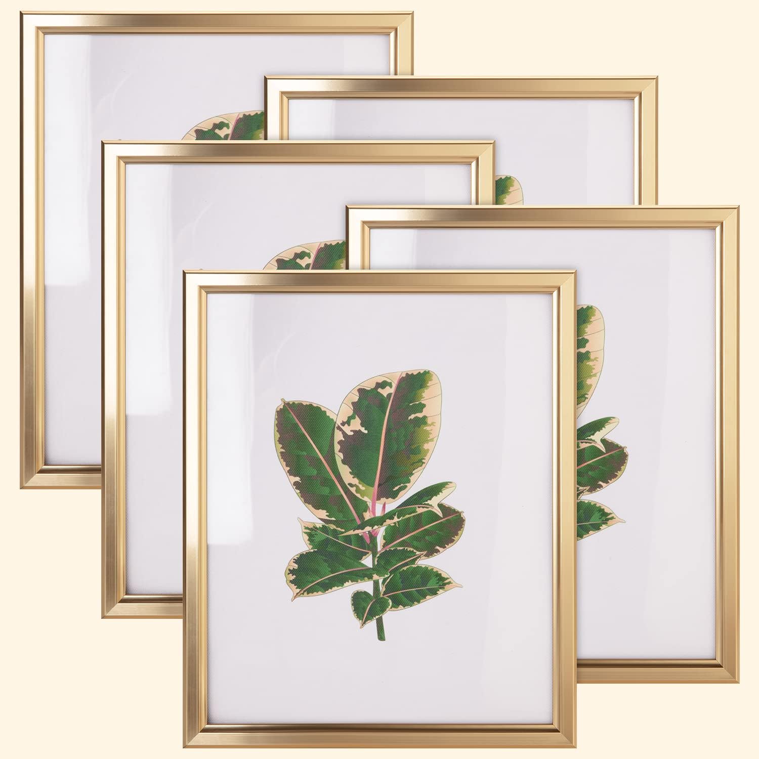 Amazon.com - euwazram 8x10 Picture Frame - Set of 5, Matte Gold 8 x 10 ...