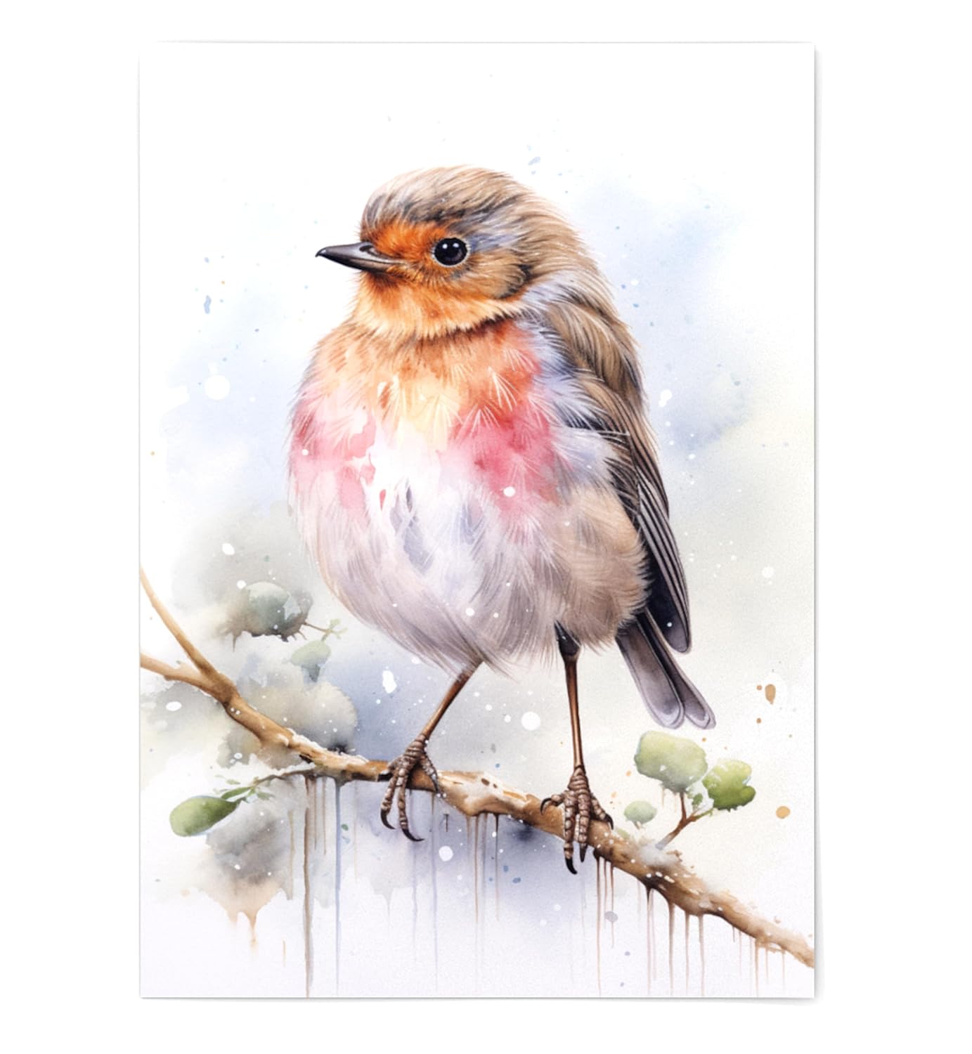Amazon.com: Robin Wall Art Print - Robin Print Poster Unframed ...