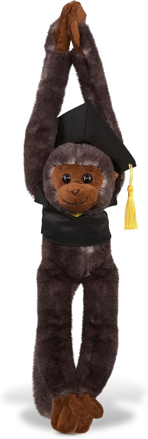 Amazon.com: DolliBu Long Arm Hanging Black Capuchin Monkey Graduation ...
